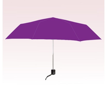 Personalized Purple 41 inch arc auto - open/close folding umbrellas ...